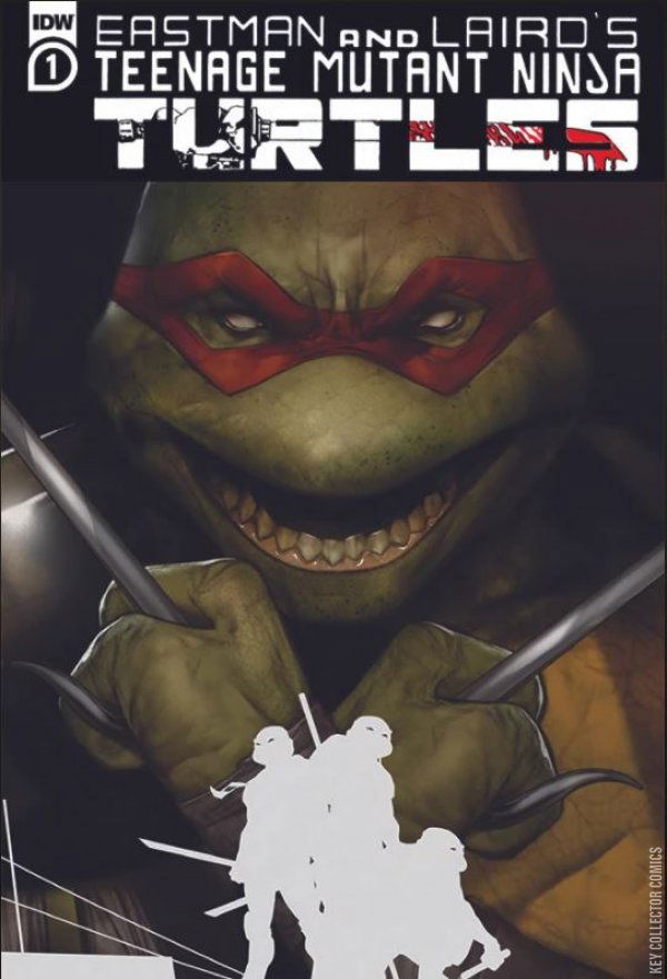 Teenage Mutant Ninja Turtles: Boxed Set - Torpedo Comics by IDW | Key ...