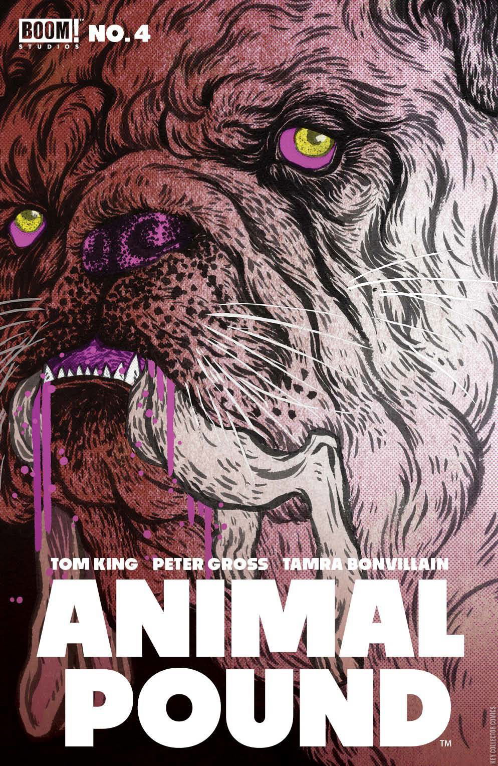 Animal Pound #4 Variant Published June 2024 | Key Coll