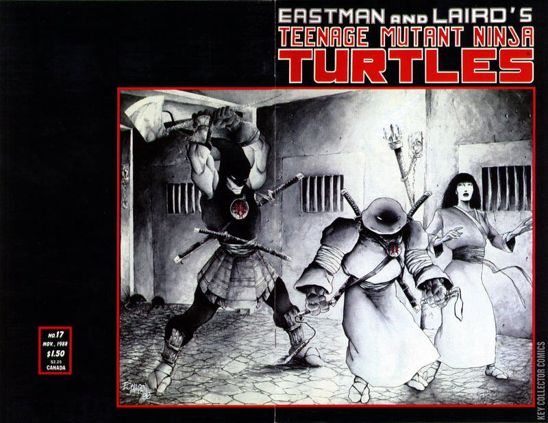 Teenage Mutant Ninja Turtles #17 Published November 198