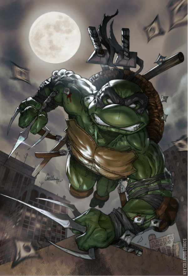 Teenage Mutant Ninja Turtles: The Last Ronin #1 Published O