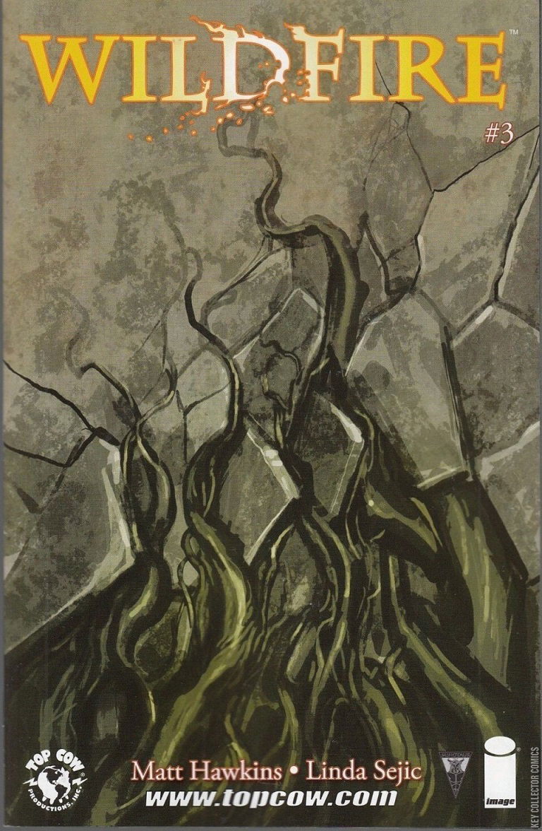 Wildfire #3 Variant Published August 2014 | Key Collec