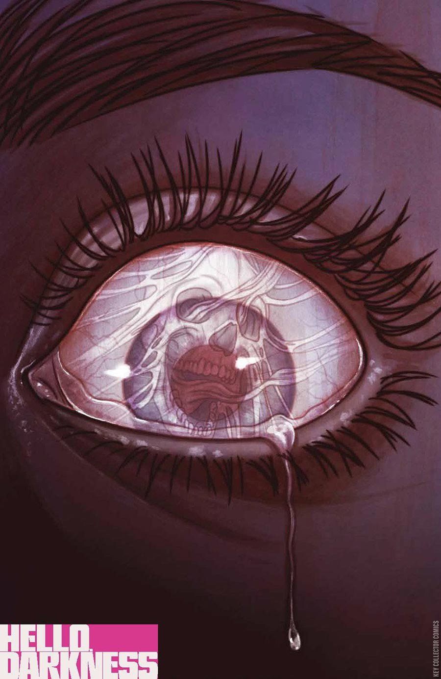 Hello Darkness #4 Variant Published October 2024 | Key