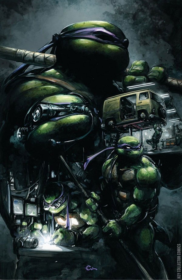 Teenage Mutant Ninja Turtles #9 Web Exclusive Published Jun